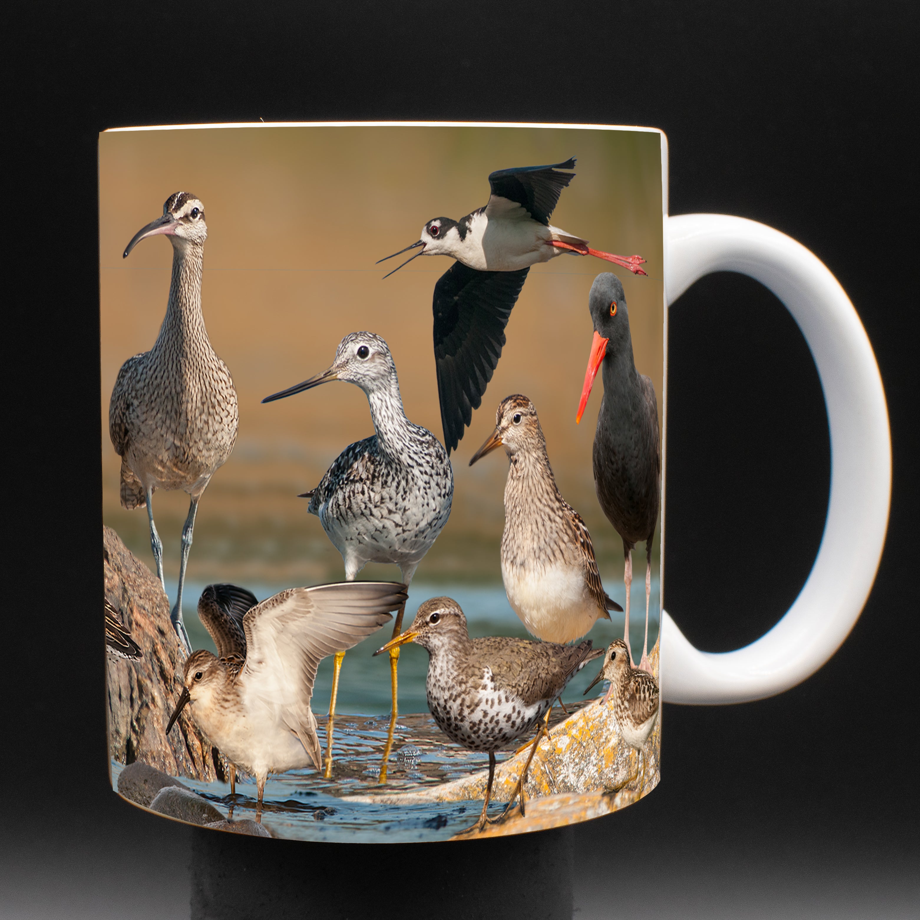 11oz Mug - SBCU 001 - Shorebirds – Raincoastphoto